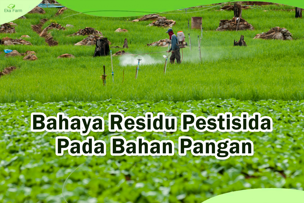 Waspada Bahaya Residu Pestisida Pada Bahan Pangan !! – Eka Farm